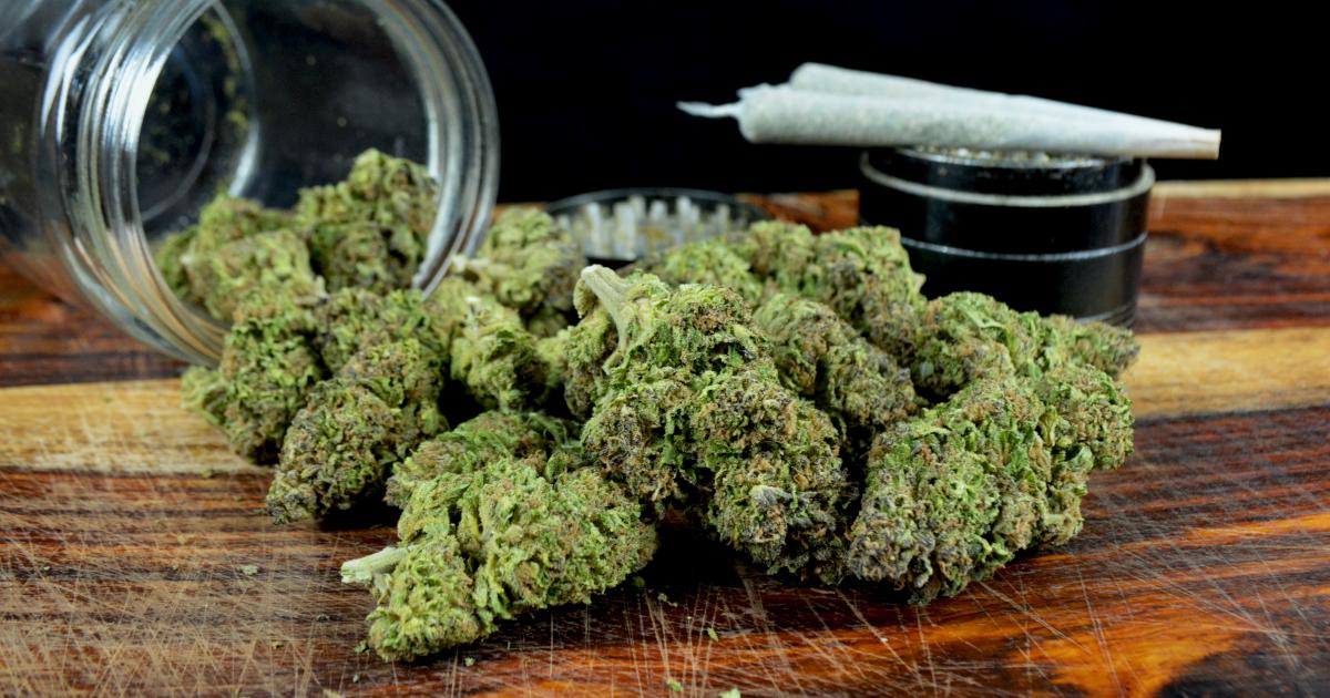 Top Medical Marijuana Strains New Patients Should Know About ... Top Medical Marijuana Strains New Patients Should Know About ...