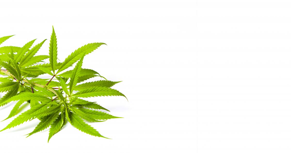 Baby Boomers Using More Medical Cannabis, Want Doctors to Be More Open ... Baby Boomers Using More Medical Cannabis, Want Doctors to Be More Open ...